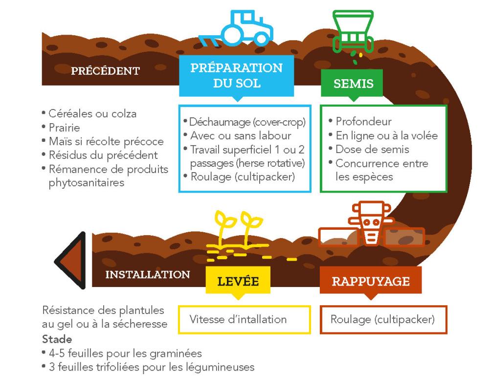 Semis des prairies : comment réussir l’implantation